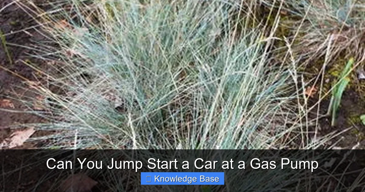 Can You Jump Start a Car at a Gas Pump - Jump Starter Hub