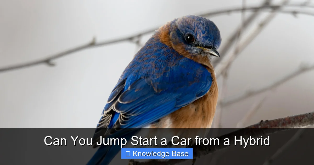 Can You Jump Start a Car from a Hybrid - Jump Starter Hub