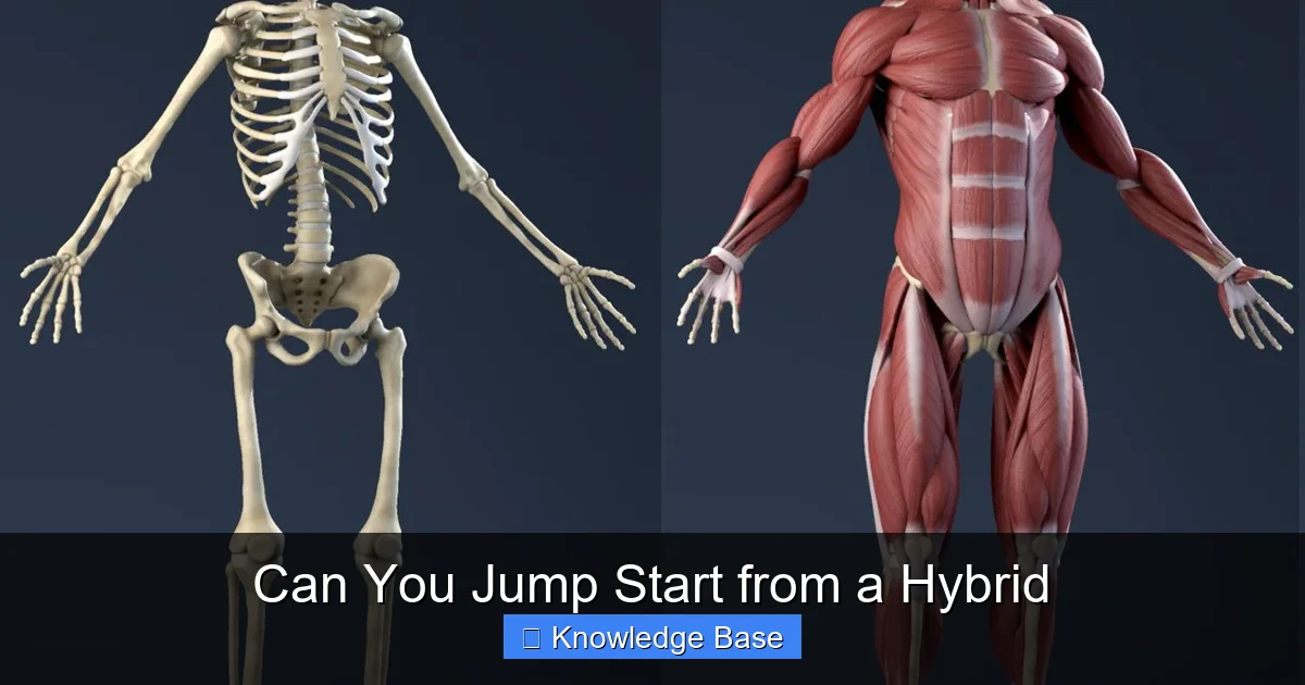 Can You Jump Start from a Hybrid - Jump Starter Hub